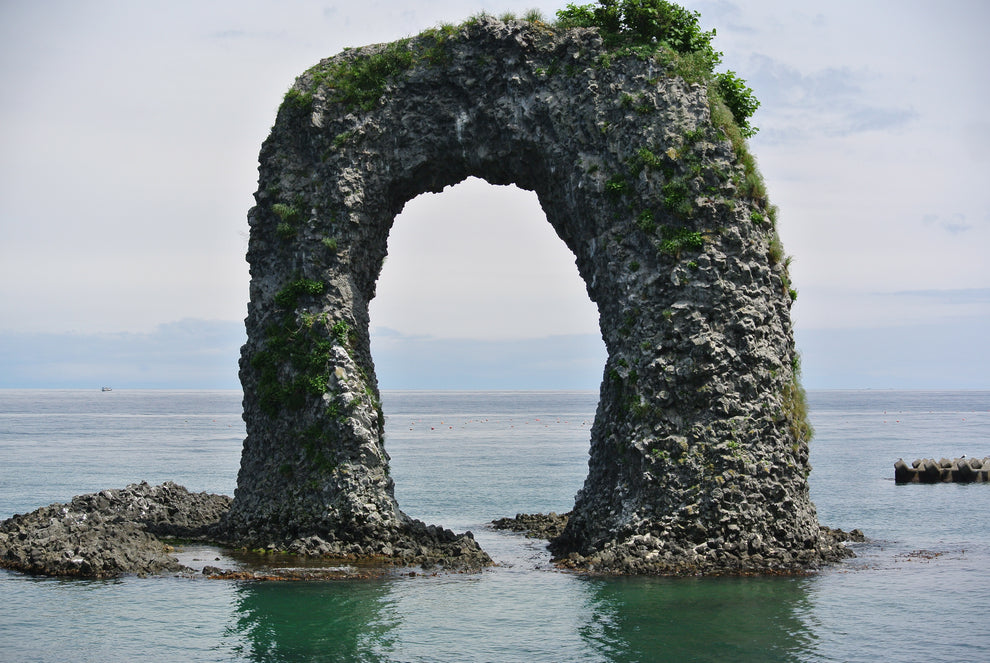 ホソメ昆布 細切り – 海藻科学研究所 ONLINE SHOP